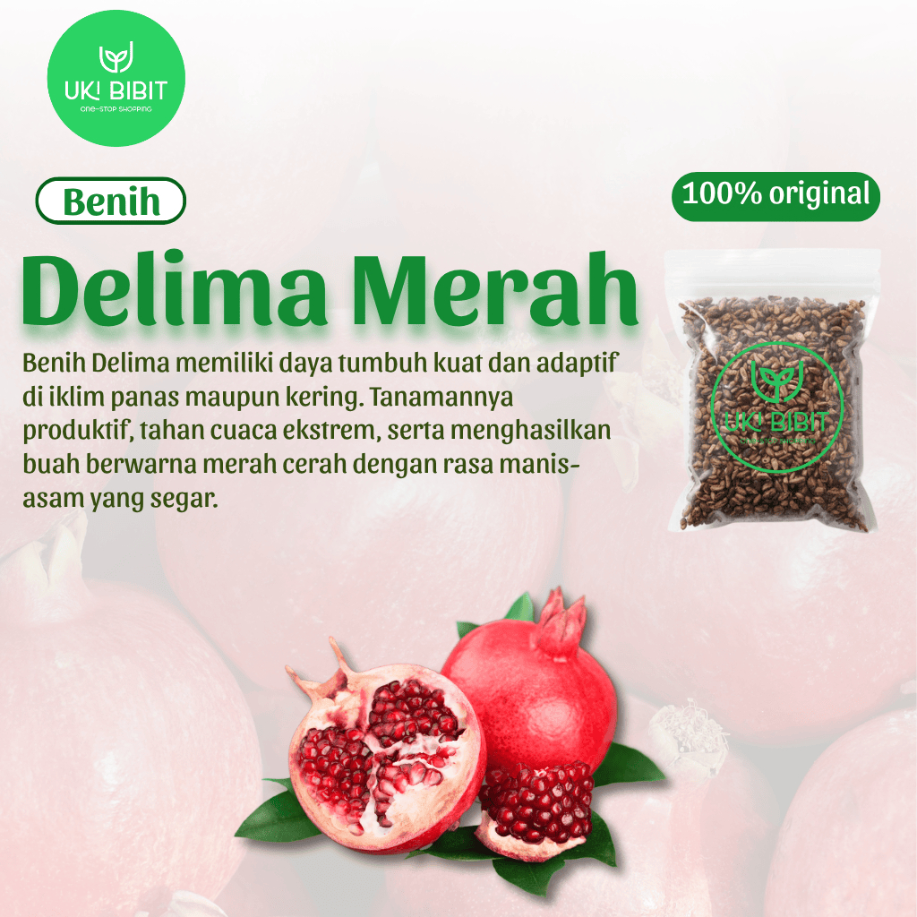 Jual ( 10 Butir ) Benih Biji Delima Merah | Delima | Pomegranate ...