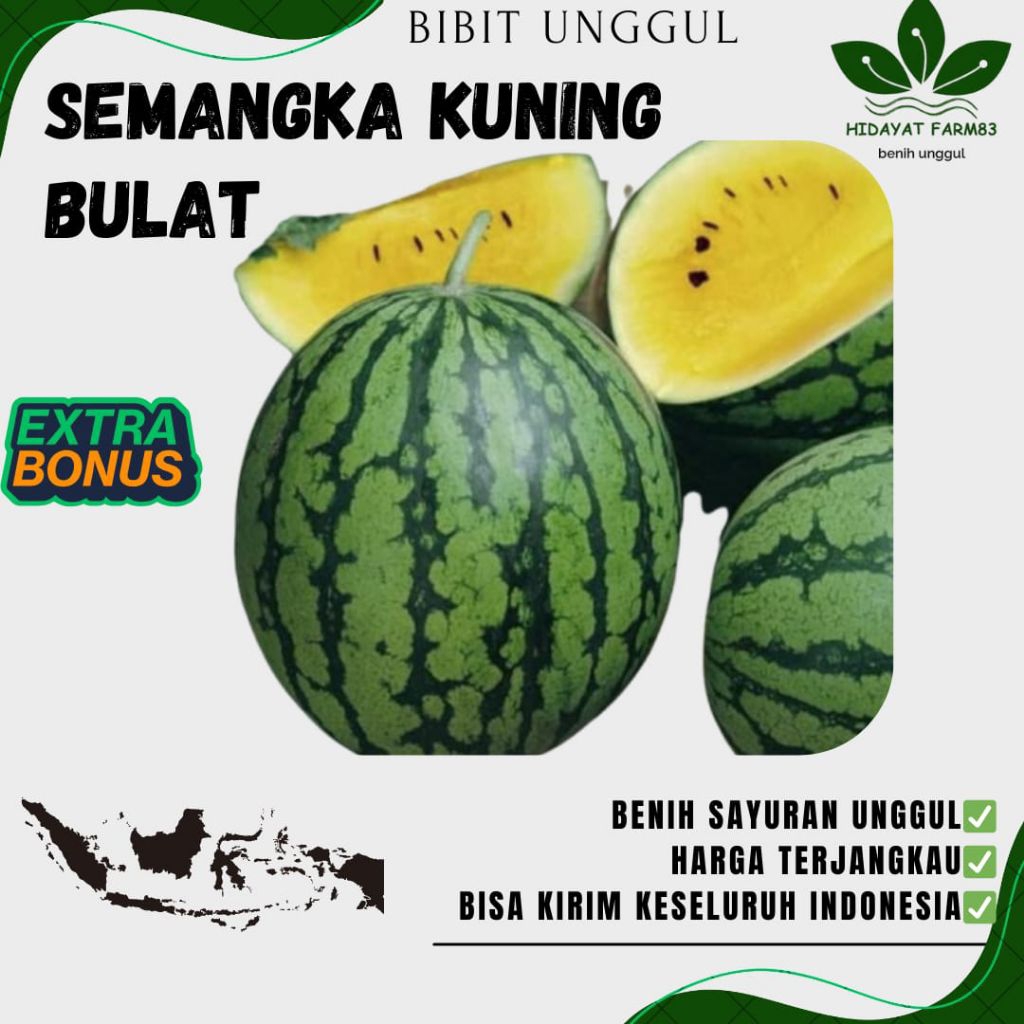 Jual ( 25 biji ) Benih biji semangka kuning bulat unggul | extra bonus ...