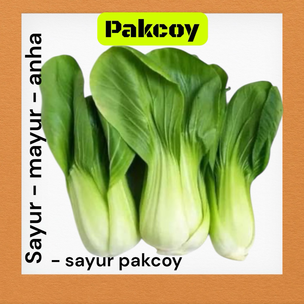 Jual Sayur Pakcoy Terlengkap & Harga Terbaru Mei 2026 | Shopee Indonesia