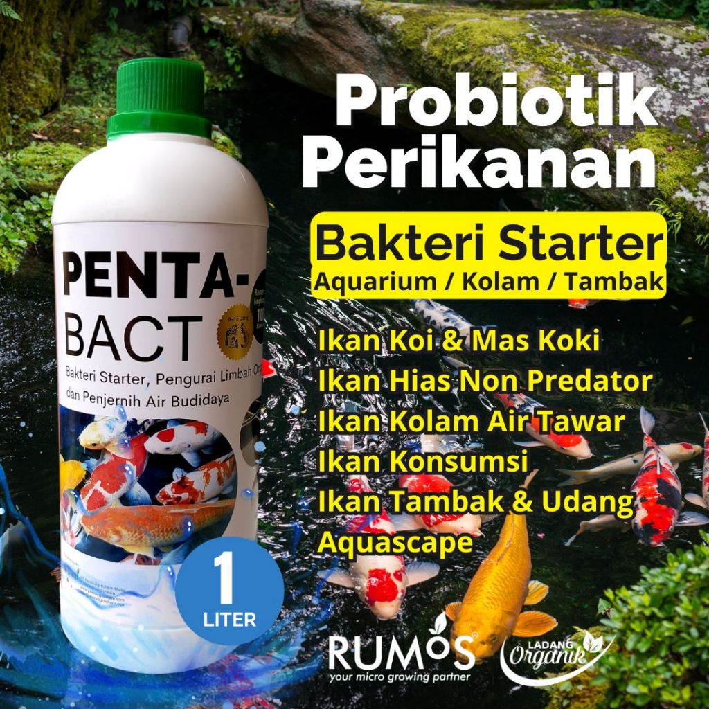 Jual Bakteri Probiotik Ikan Lele Nila Gurame / Budidaya Perikanan ...