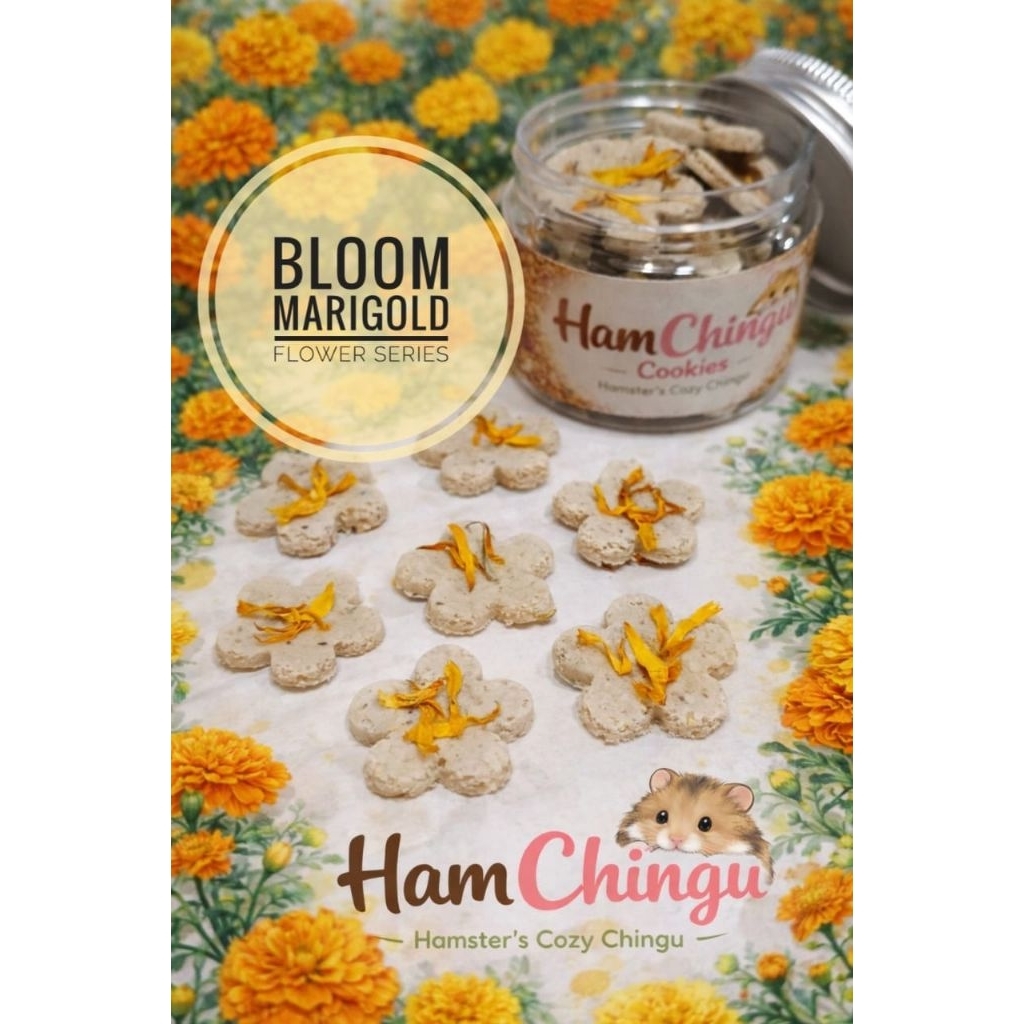 Jual Bloom Marigold cookies (cookies hamster/ snack hamster) | Shopee ...