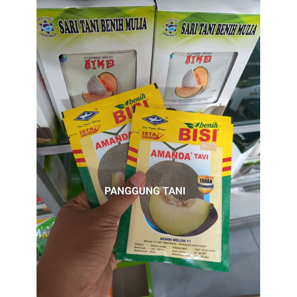 Jual Benih Melon Madu Manis Super Amanda Tavi F1 (Perawatan, Pembuahan ...