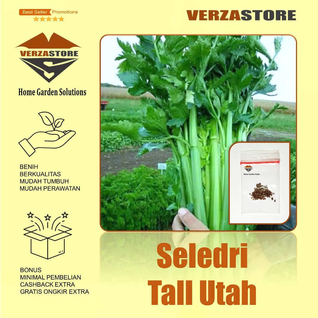 Jual Biji Benih Seledri Batang Besar Tall Utah / 100 biji | Shopee ...
