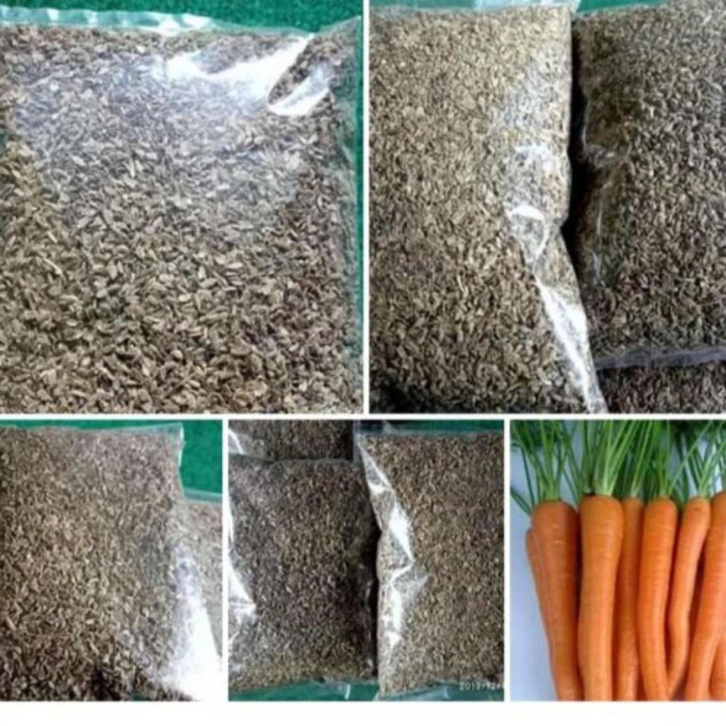 Jual Benih wortel lokal unggulan | Shopee Indonesia
