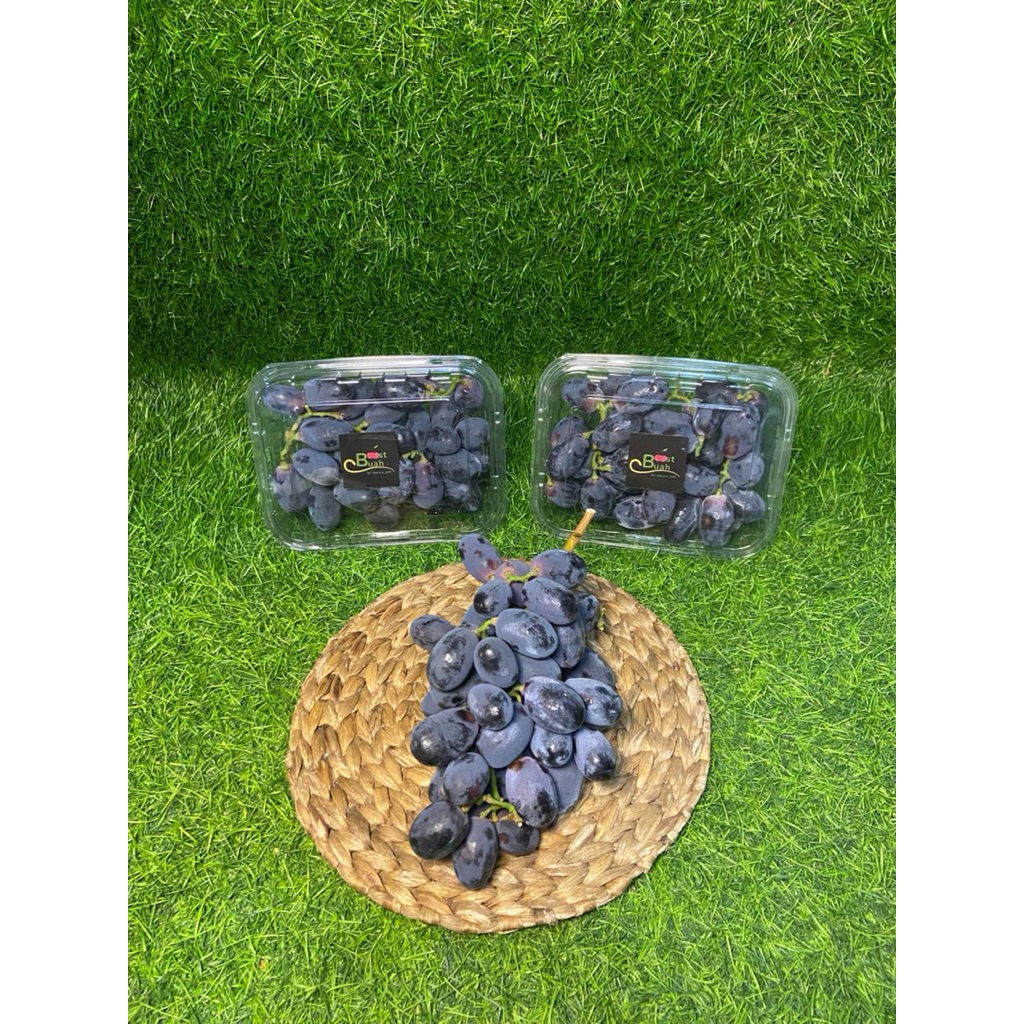 Jual Anggur Autumn Black Chinese Seedless ( Buy 1 pack free 1 pack ...