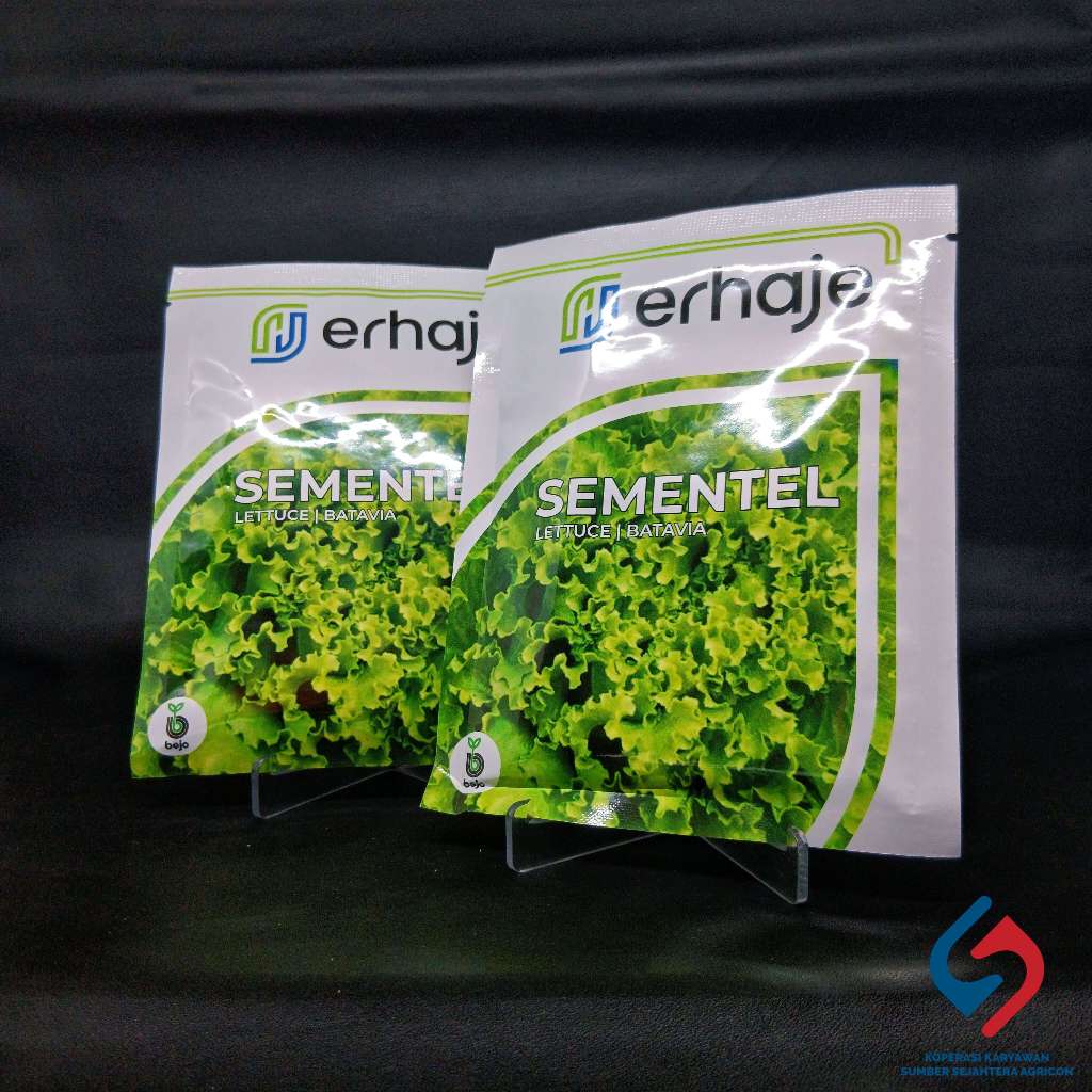 Jual Benih Selada Sementel Batavia Erhaje Bejo 1000 Pills | Shopee ...