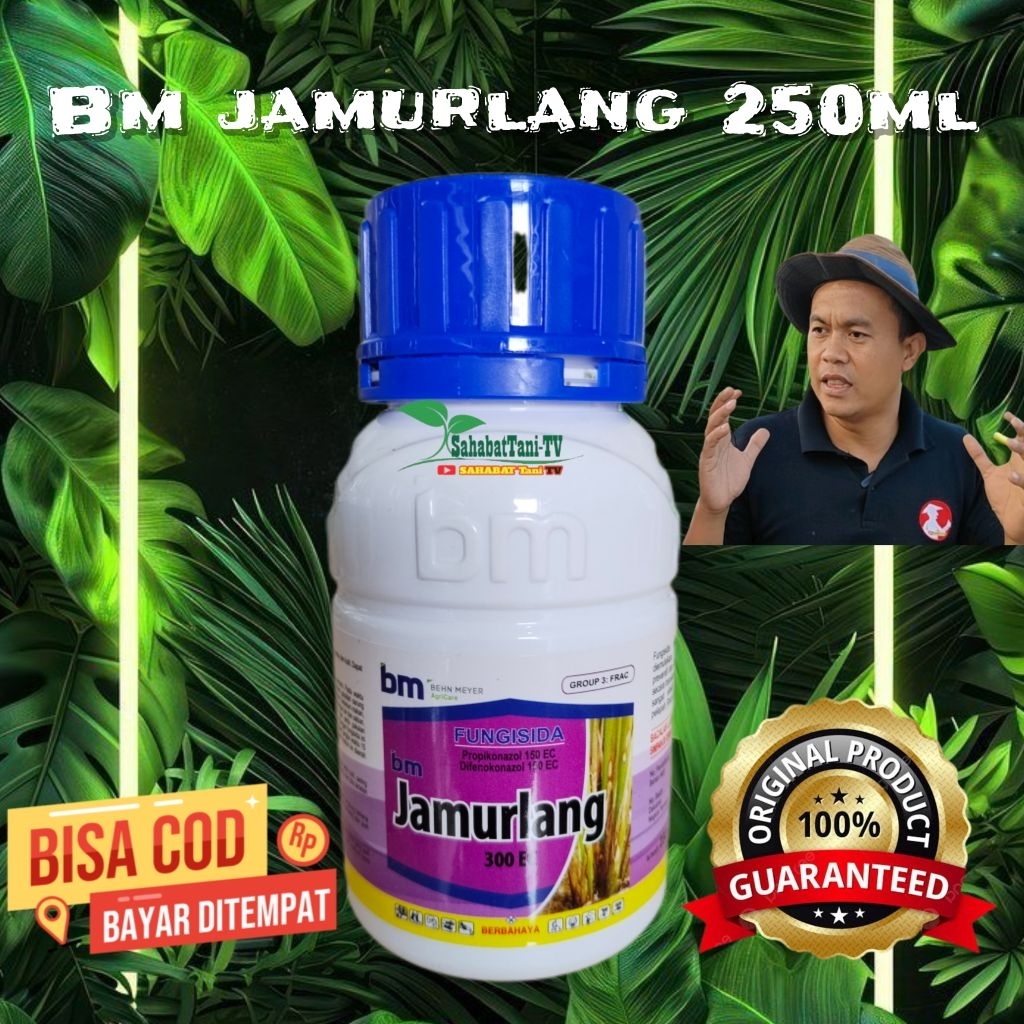 Jual FUNGISIDA BM JAMURLANG 250ML 300EC | Shopee Indonesia