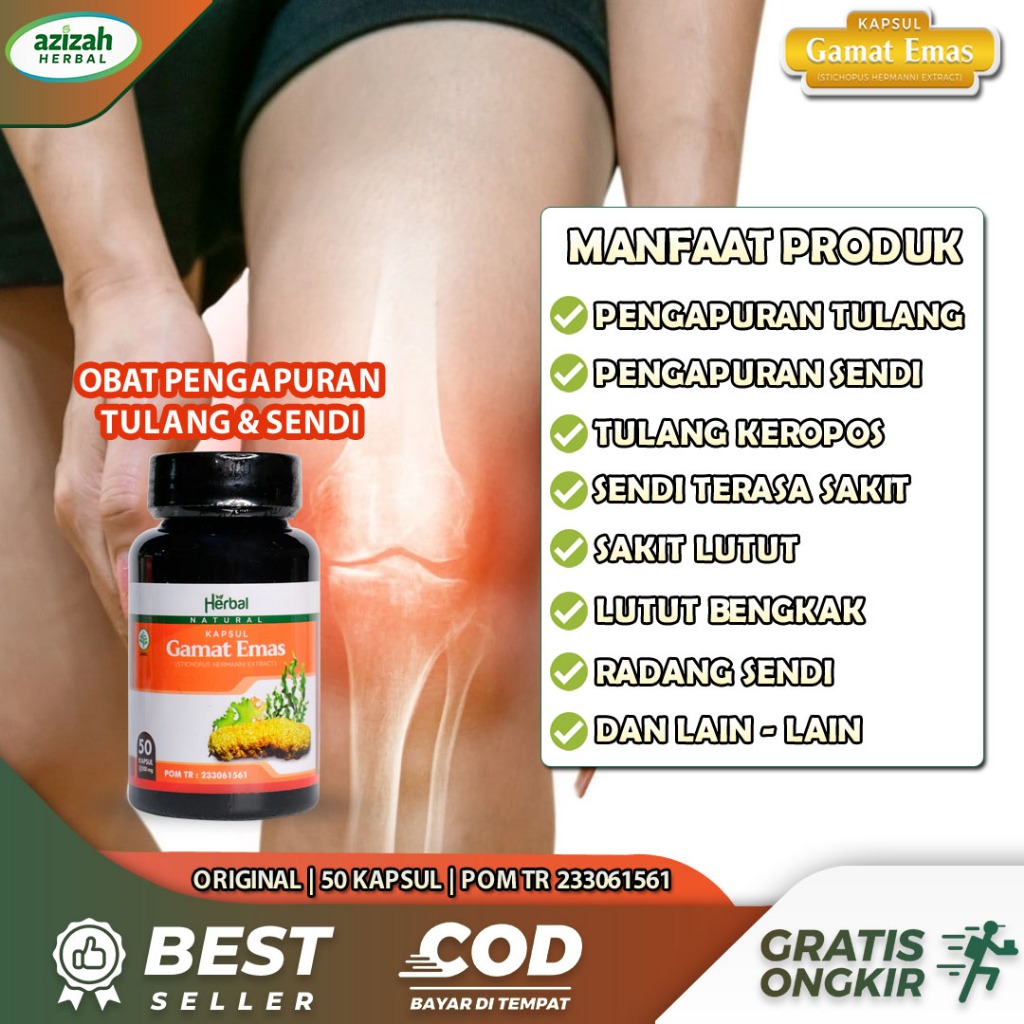 Jual Kapsul Gamat Emas Obat Pengapuran Tulang Sendi Lutut Keropos Sakit ...