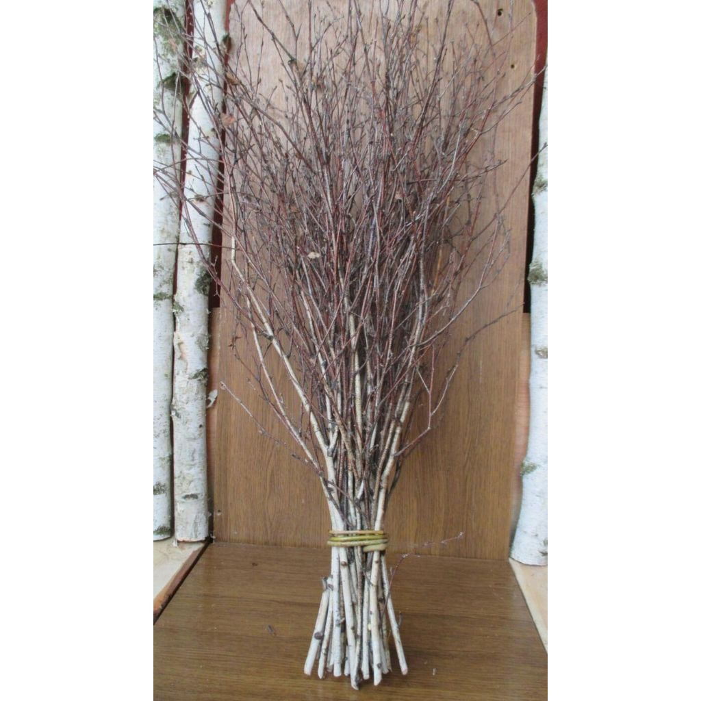 Jual Ranting Pohon Kering 5 pcs Ranting Kayu Kering Ranting Kayu ...