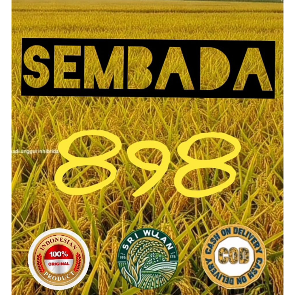 Jual BENIH PADI SUPER UNGGUL ORIGINAL SEMBADA 898 KEMASAN 5KG | Shopee ...
