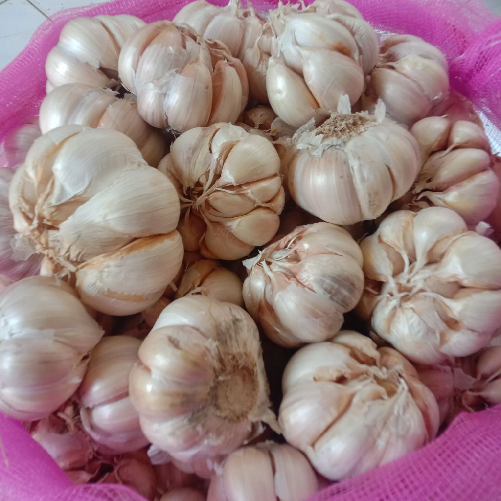 Jual Bawang Putih Honan Bersih Kulit | Shopee Indonesia