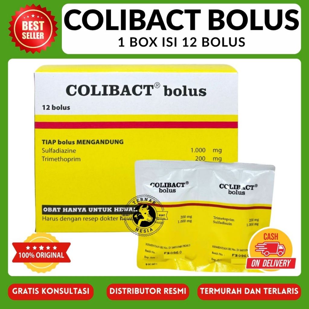 Jual Colibact 12 Bolus 1 Box (6 Strip @2 Bolus) Obat Sapi Kuda Domba ...
