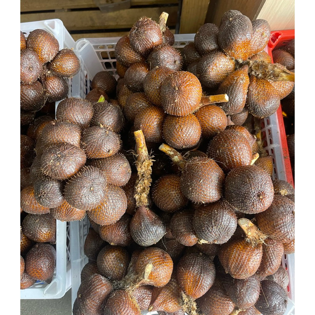 Jual Salak Gula Pasir Super Bali - Salak Gula Bali 500gram | Shopee ...