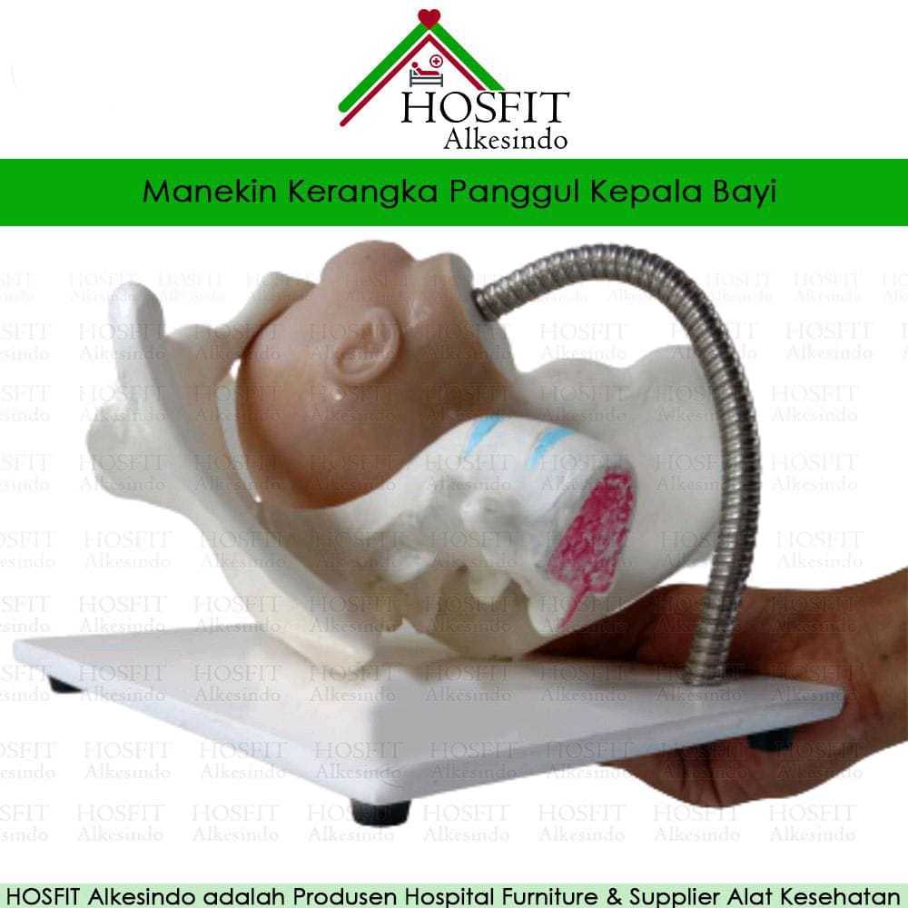 Jual Manekin Kerangka Panggul Kepala Bayi - Manekin Peraga Lokal ...