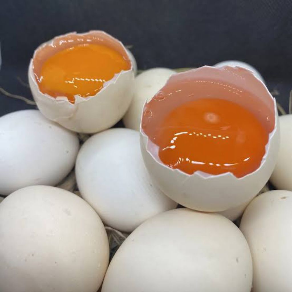 Jual Telur Ayam Kampung per Butir | Shopee Indonesia