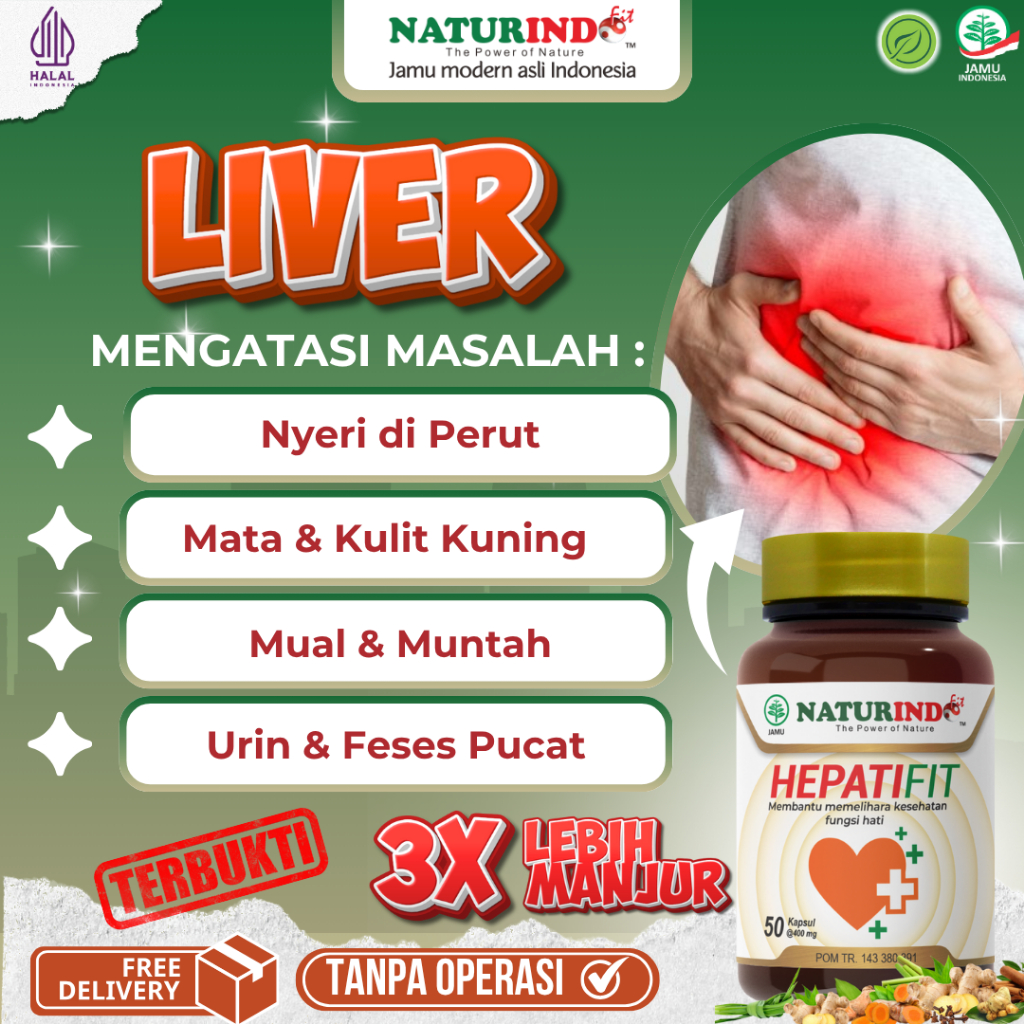 Jual Obat Herbal Vitamin Liver Hepatitis Fatty Liver Limpa Bengkak ...