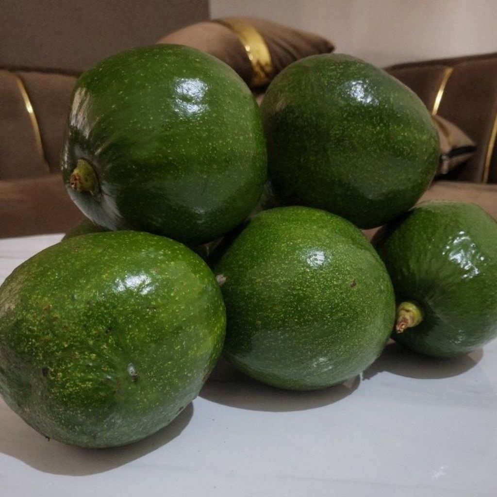 Jual Alpukat kendi/markus/hawai 1kg | Shopee Indonesia