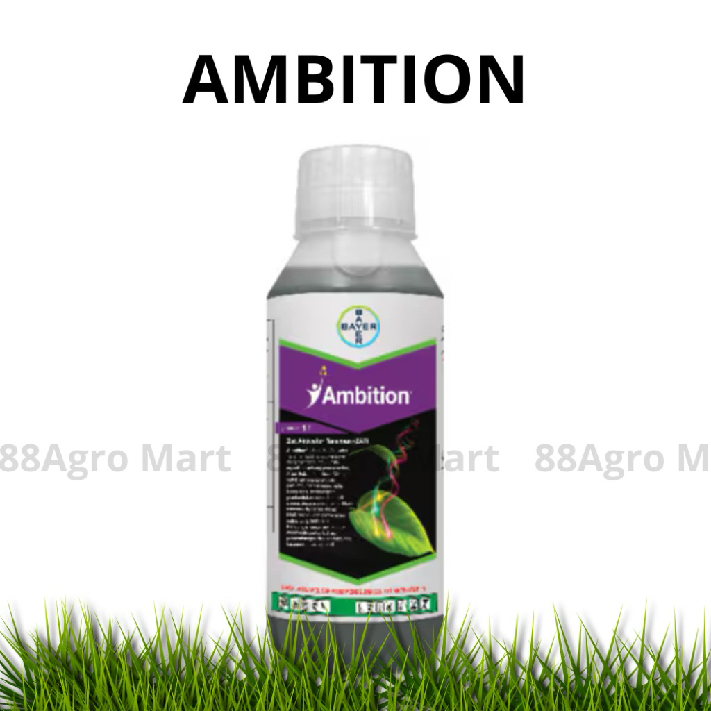 Jual AMBITION 500ML / AMBITION 500 ML /AMBITION ZAT AKTIVATOR | Shopee ...