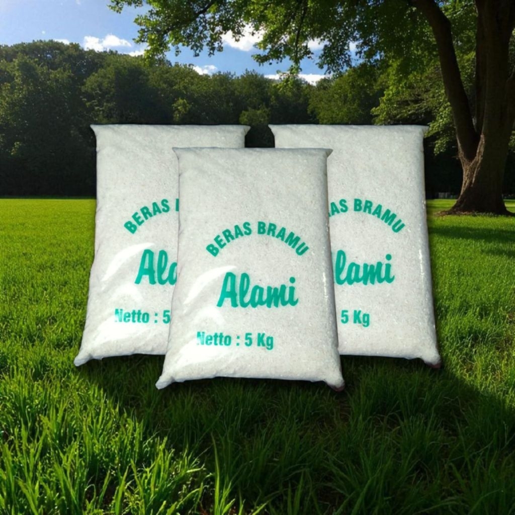 Jual Beras Bramu Alami Padi 5kg + minyak | Shopee Indonesia