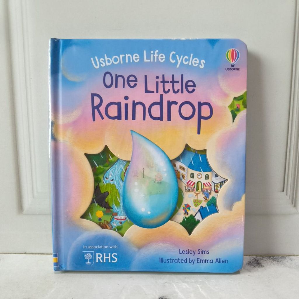 Jual Usborne Life Cycles One Little Raindrop / buku anak / children ...
