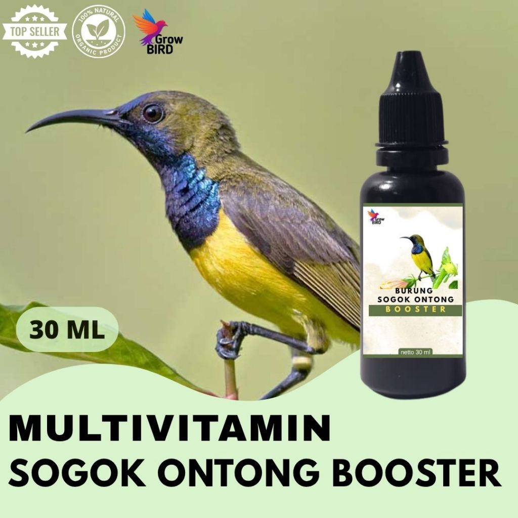 Jual Vitamin Burung Gacor 30 ml Untuk Sogok Ontong Vitamin Penggacor ...