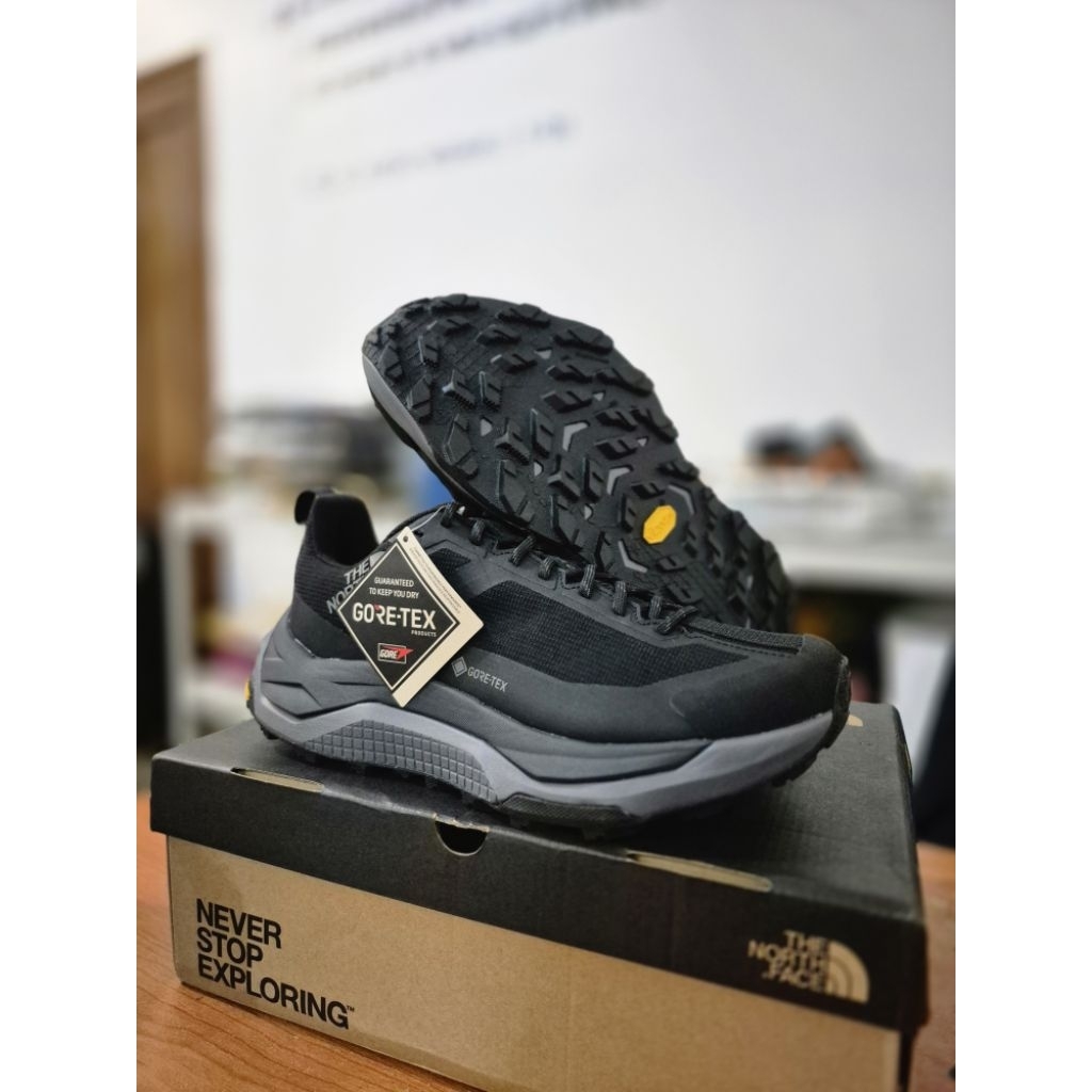Jual Sepatu The North Face Fastpack Ultra Gore-Tex GTX | Shopee Indonesia