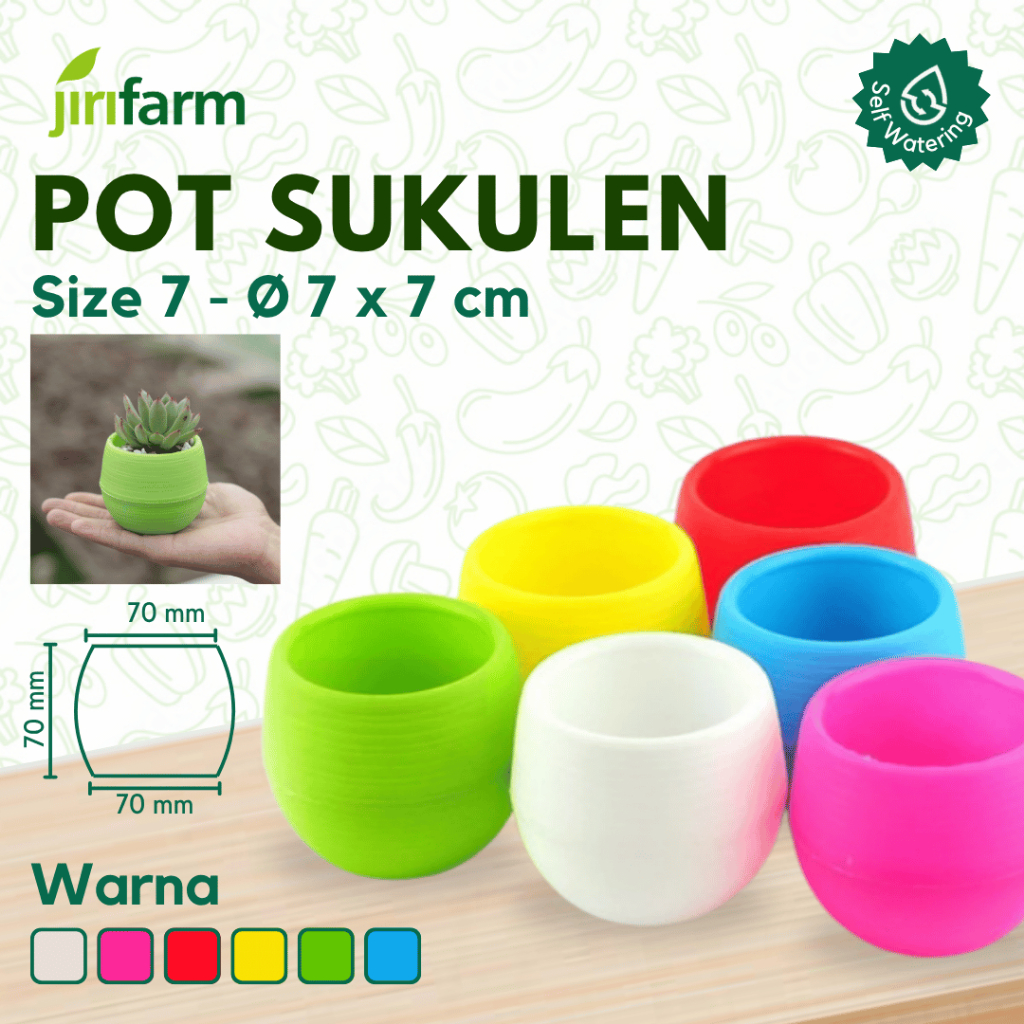 Jual JIRIFARM - Pot Bunga Sukulen Mini 7x7 - Tanaman Hias Otomatis Self ...