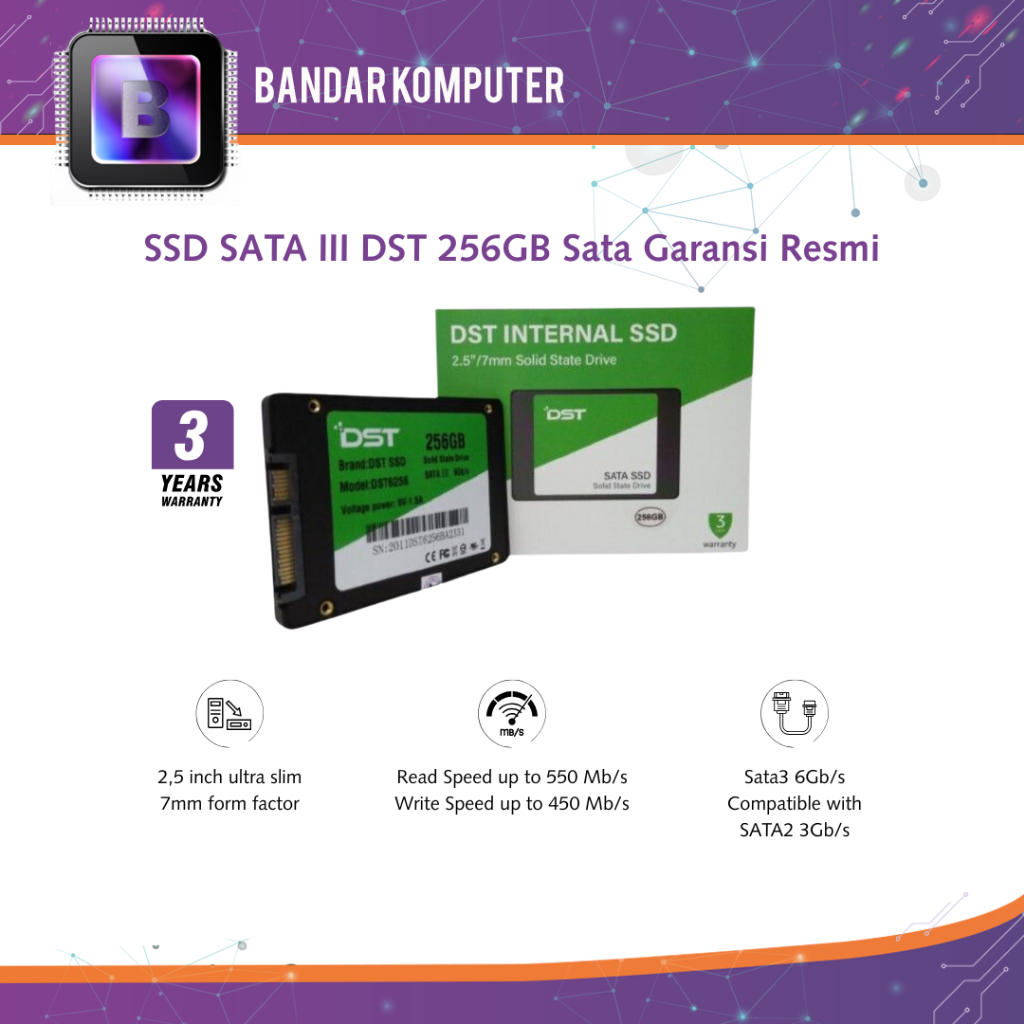 Jual SSD SATA III DST 256GB Sata Garansi Resmi | Shopee Indonesia