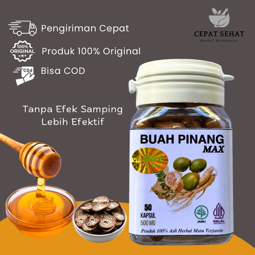 Jual Kapsul Buah Pinang Muda MAX Isi 50 Original Herbal | Shopee Indonesia
