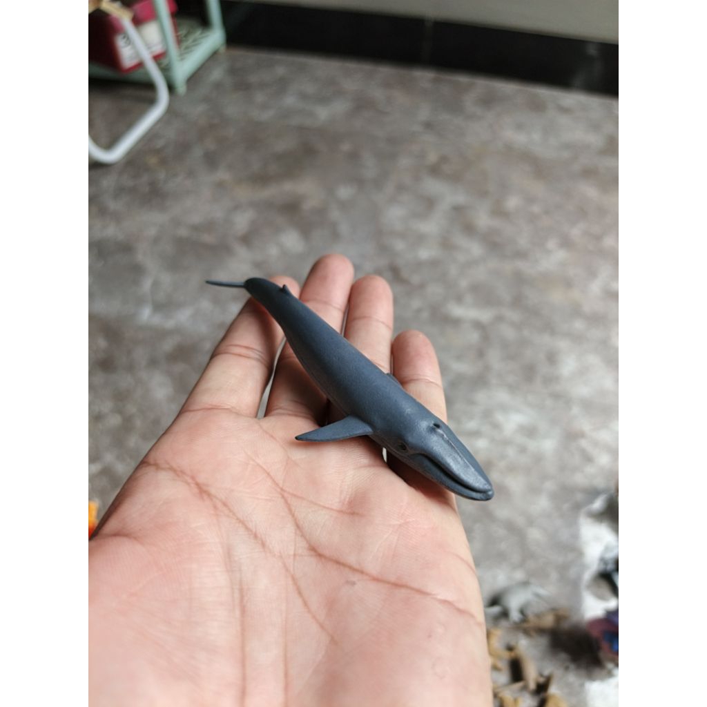 Jual figure animal blue whale by Safari | Shopee Indonesia