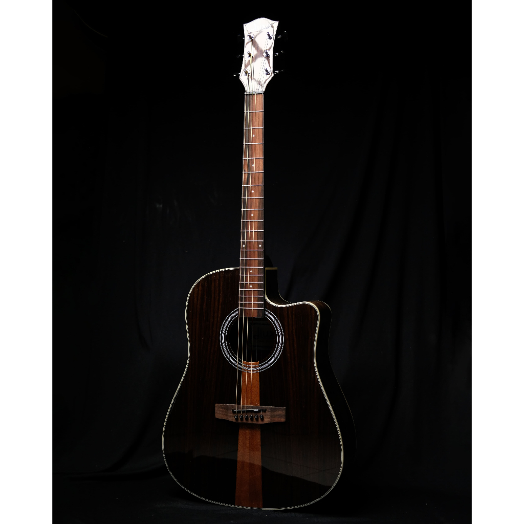 Jual GITAR AKUSTIK/AKUSTIK ELEKTRIK ORIGINAL PABRIK DLUXE DW 210 G ...