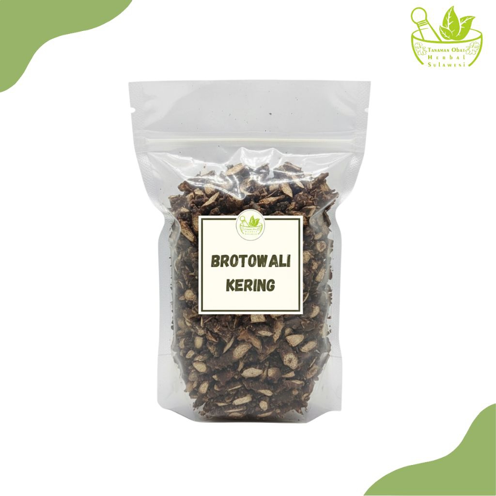 Jual Brotowali Kering/Bratawali Kering (50 Gram) | Shopee Indonesia