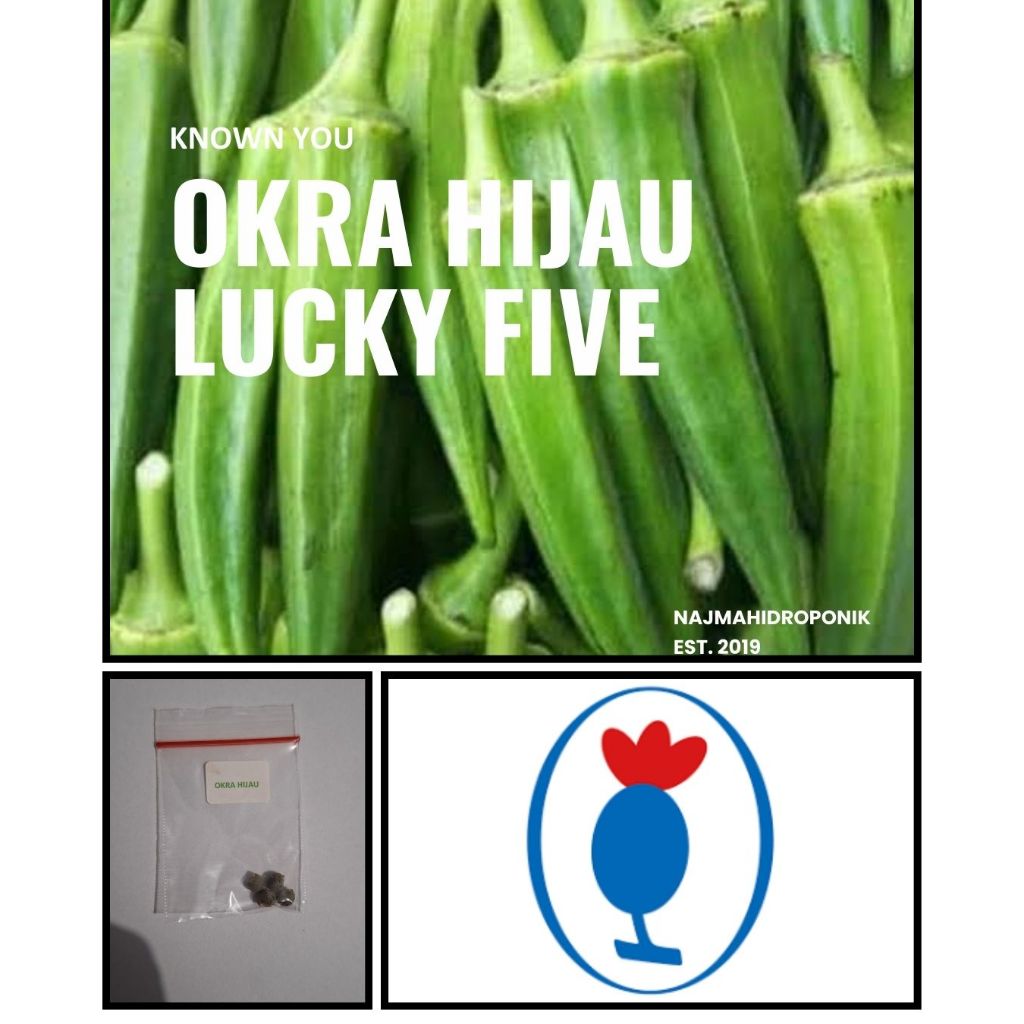 Jual 4 Butir Benih Okra Hijau Repacking (Known You) | Shopee Indonesia