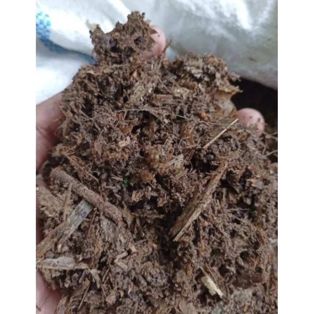Jual Humus bambu campur kohe - media tanam bonsai - humus bambu ...