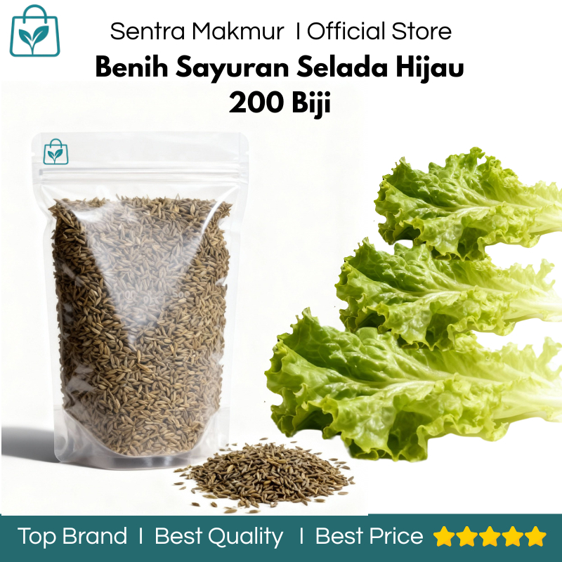 Jual Benih Selada Hijau 200 Biji - Benih Sayuran Selada - Benih Selada ...