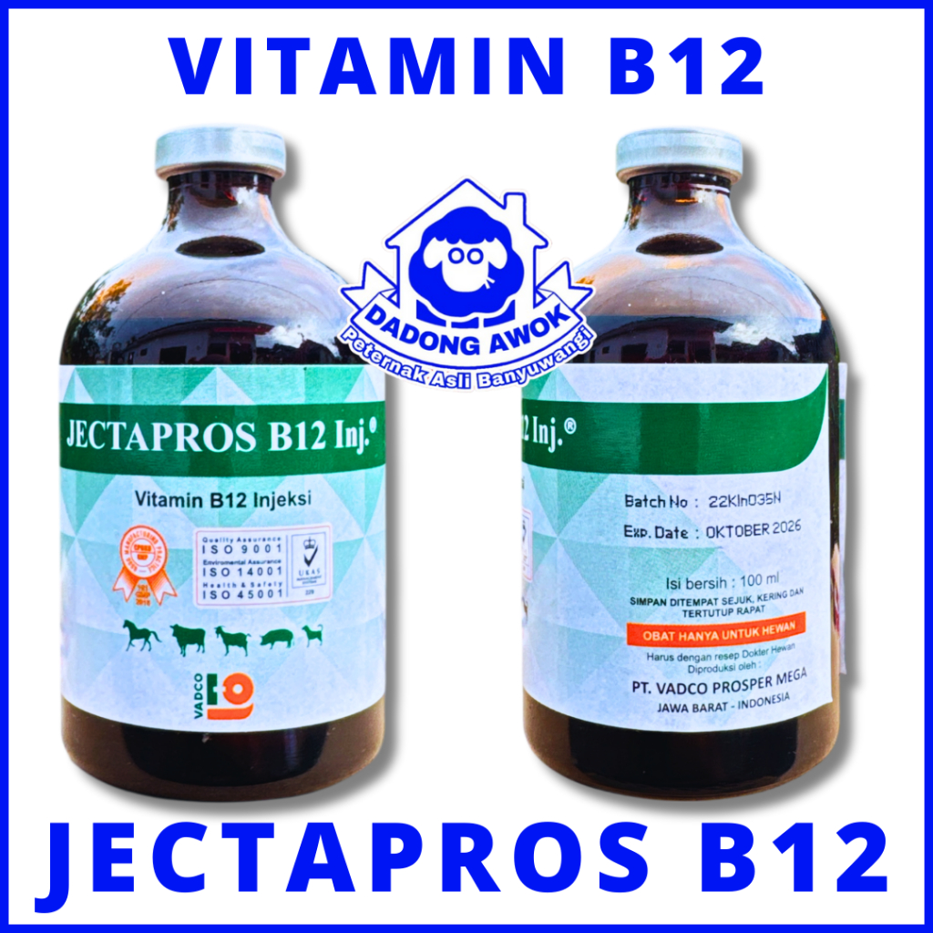 Jual Vitamin B12 Hewan - JECTAPROS B12 100ML Vitamin B12 Injeksi Hewan ...