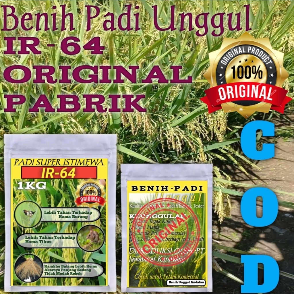 Jual 0BENIH PADI IR 64 JUMBO/REPACK/KEMASAN 1KG | Shopee Indonesia