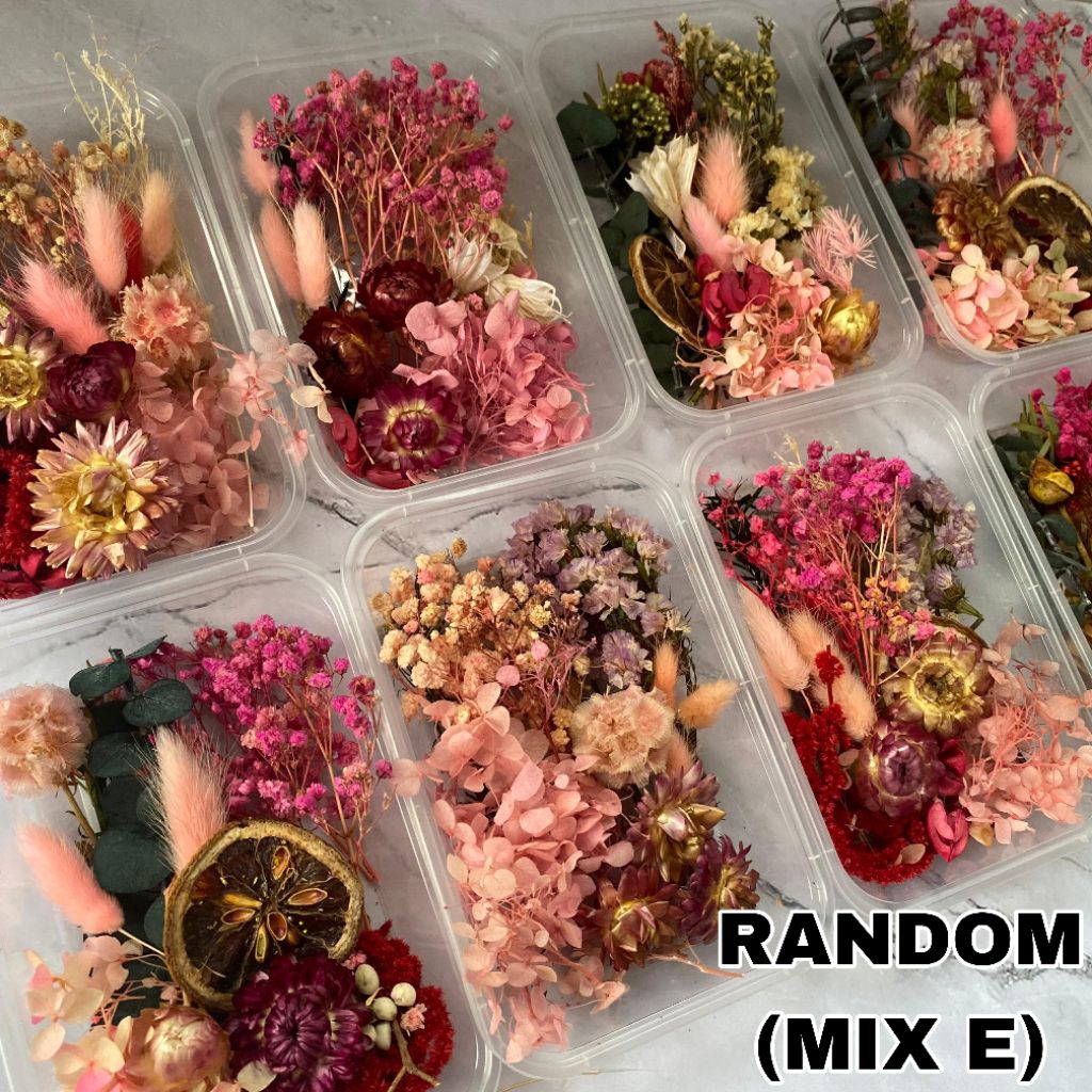 Jual Random A O Bunga Kering Asli Box Real Dry Flowers Import Untuk