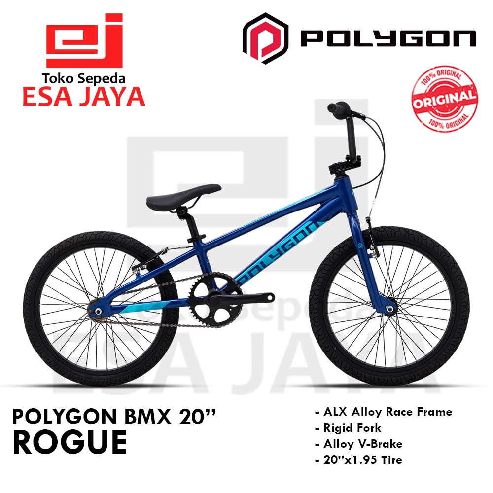 Jual Sepeda BMX 20" Inch Polygon Rogue Alloy – BMX 20 Single Speed, Rem ...