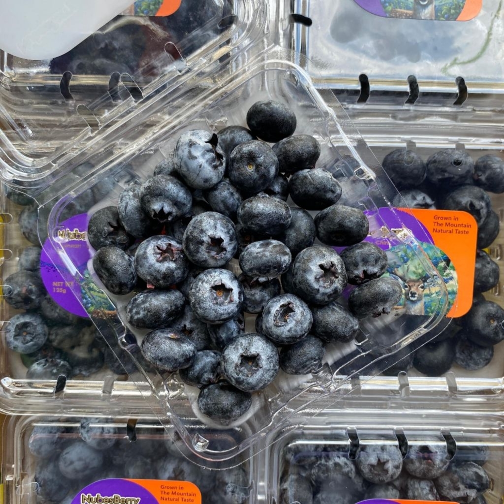 Jual Blueberry china 125gr fresh | Shopee Indonesia