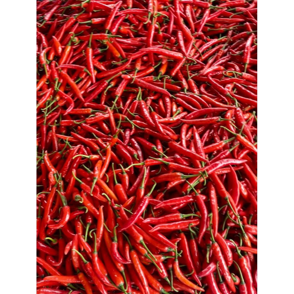 Jual Cabai Merah Besar | Shopee Indonesia