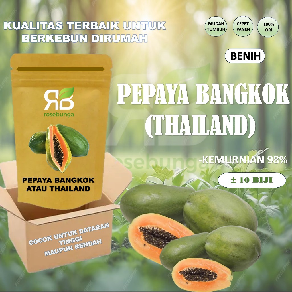 Jual isi 10 Biji -Benih Pepaya Bangkok Bibit Pepaya Ta Fung Benih ...