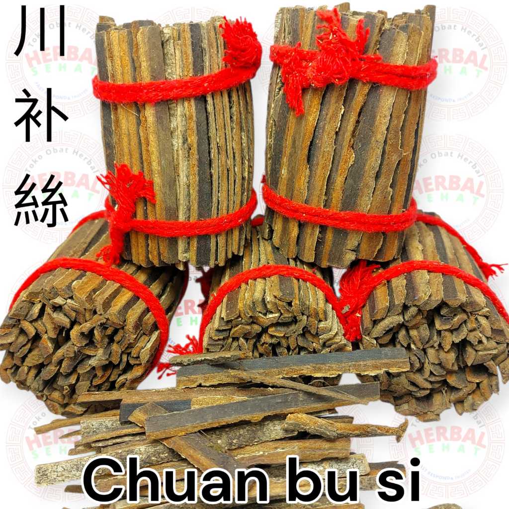 Jual Chuan Bu Si 50-100g - Po Si - Pu Si / Bu Si / Bosi/Busi/Pusi ...