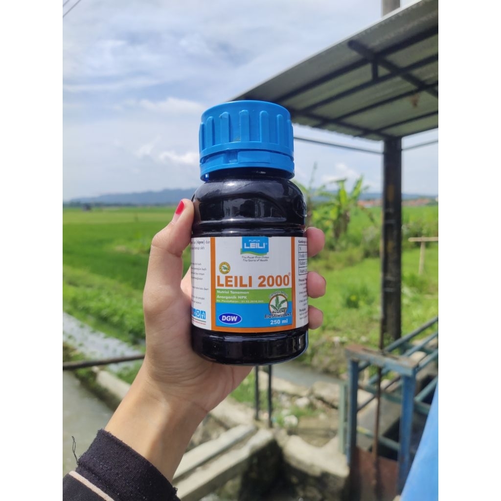Jual Leili 250 ml | Shopee Indonesia