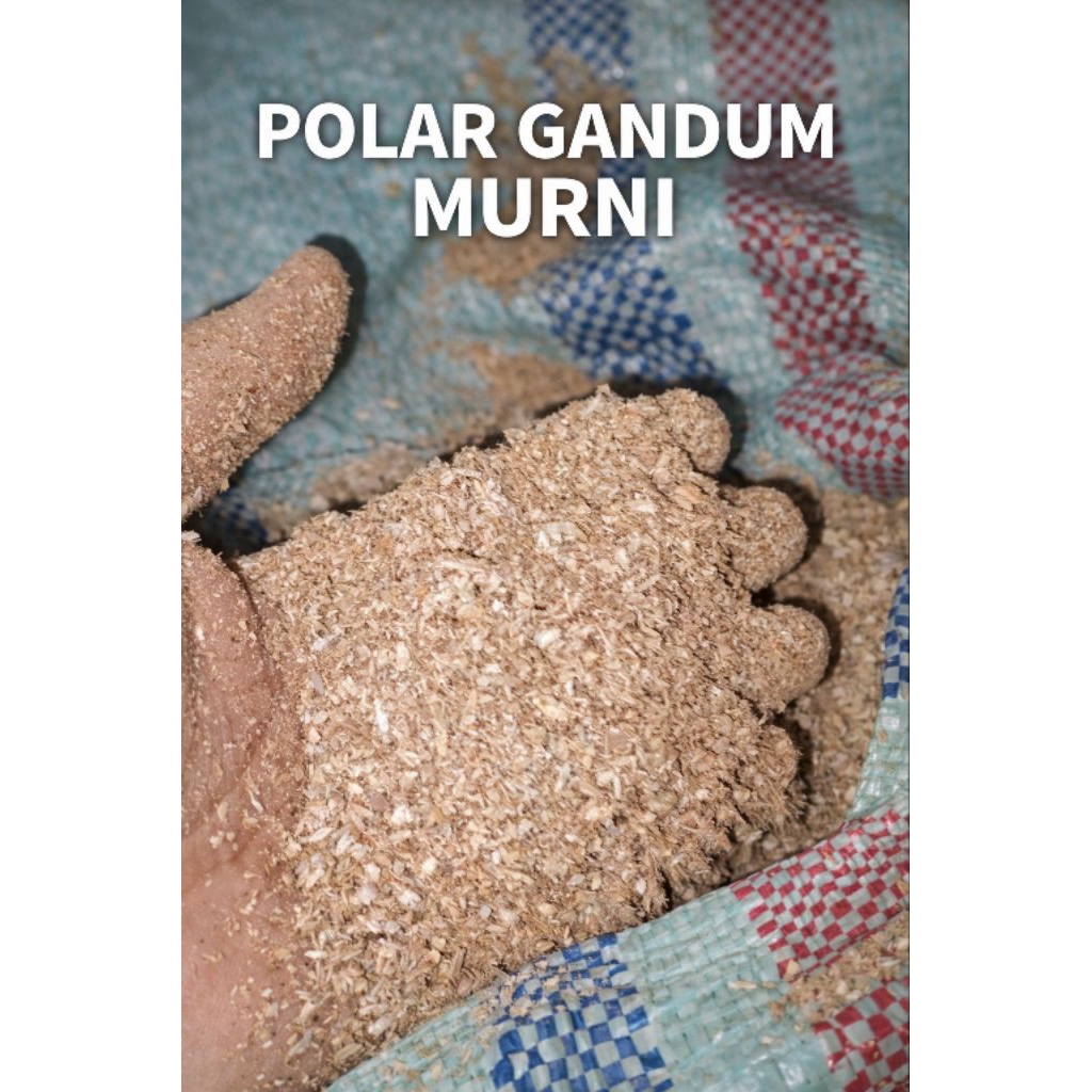 Jual POLAR GANDUM MURNI PAKAN TERNAK 1KG | Shopee Indonesia