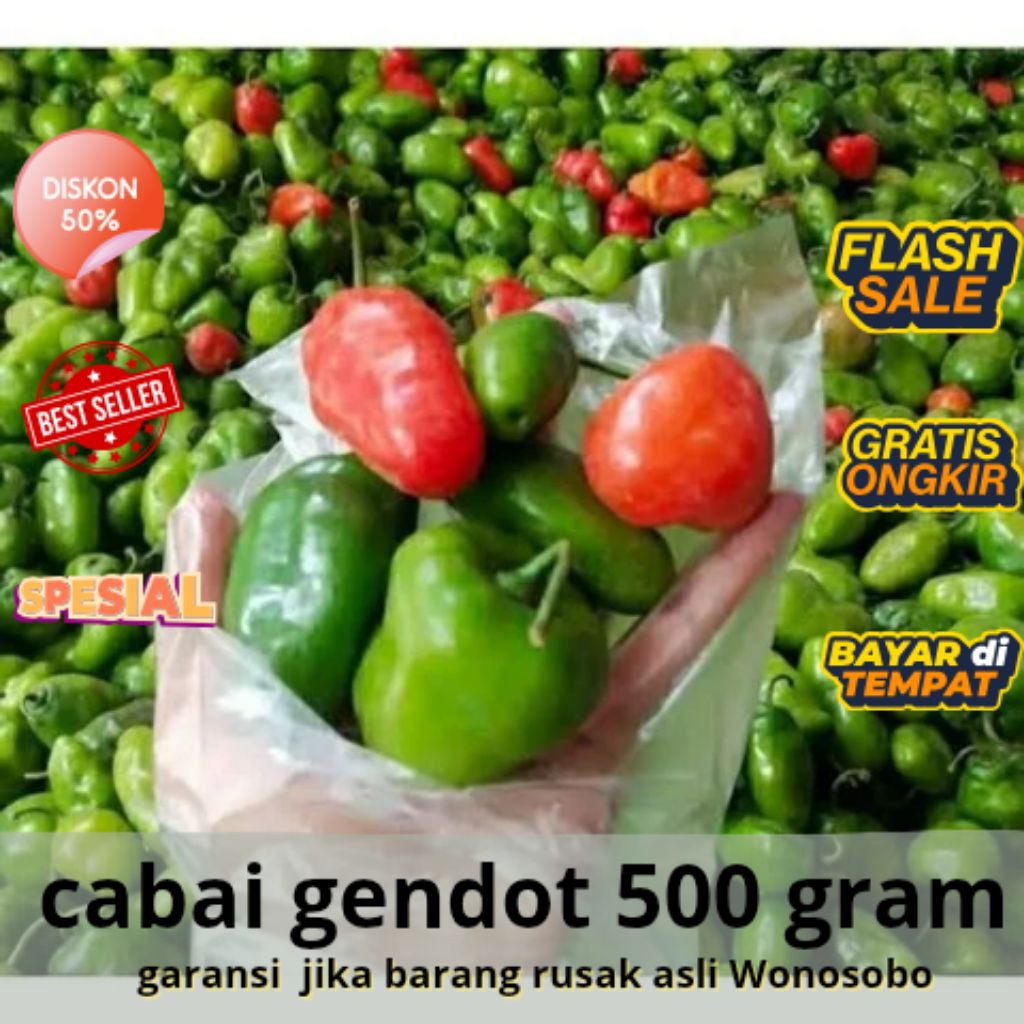 Jual Cabai gendot segar 500 gram - super pedas,langsung dari petani ...