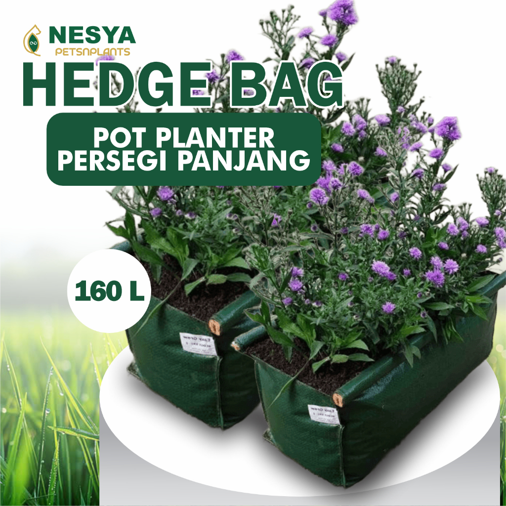 Jual Hedge Bag 160L Pot Planter Persegi Panjang Pot Tanaman Persegi ...