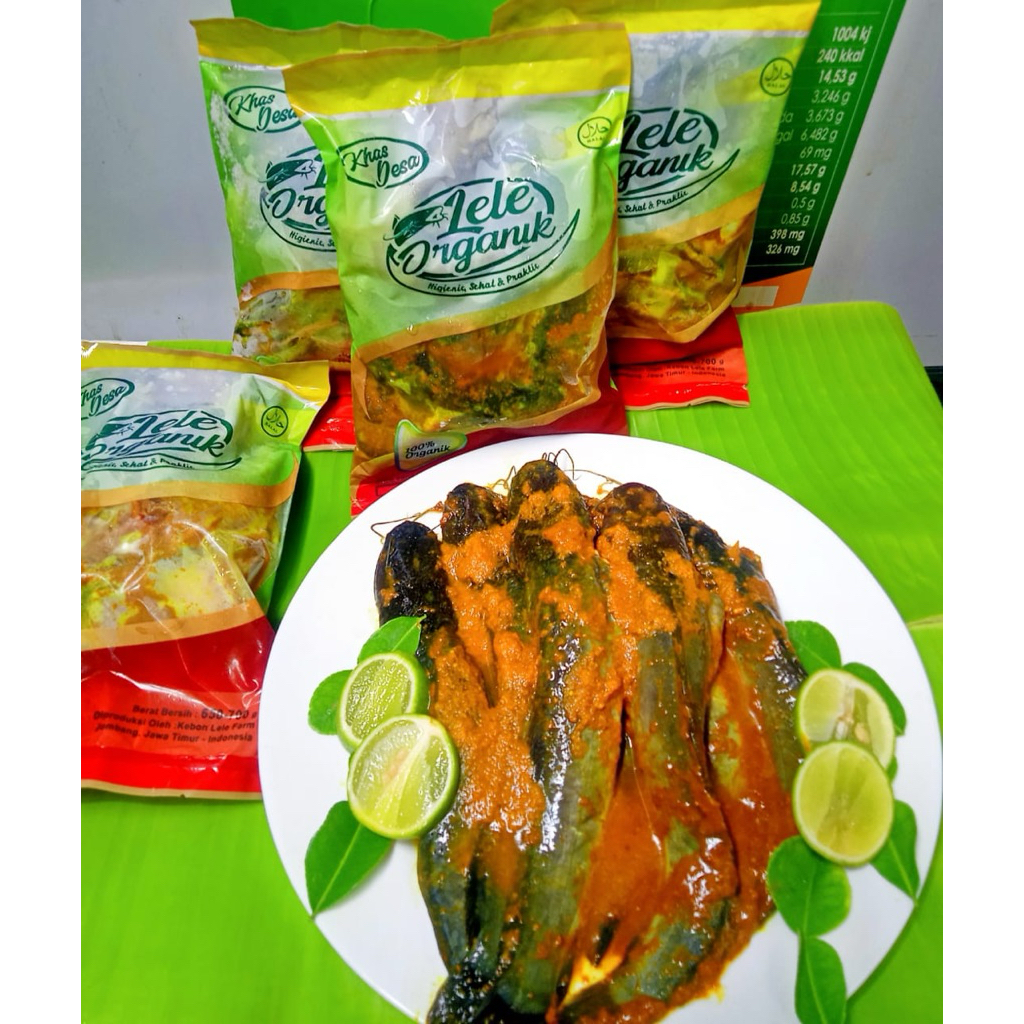 Jual LELE BUMBU KHAS DESA SIAP GORENG PRAKTIS ISI 6-8ekor | Shopee ...