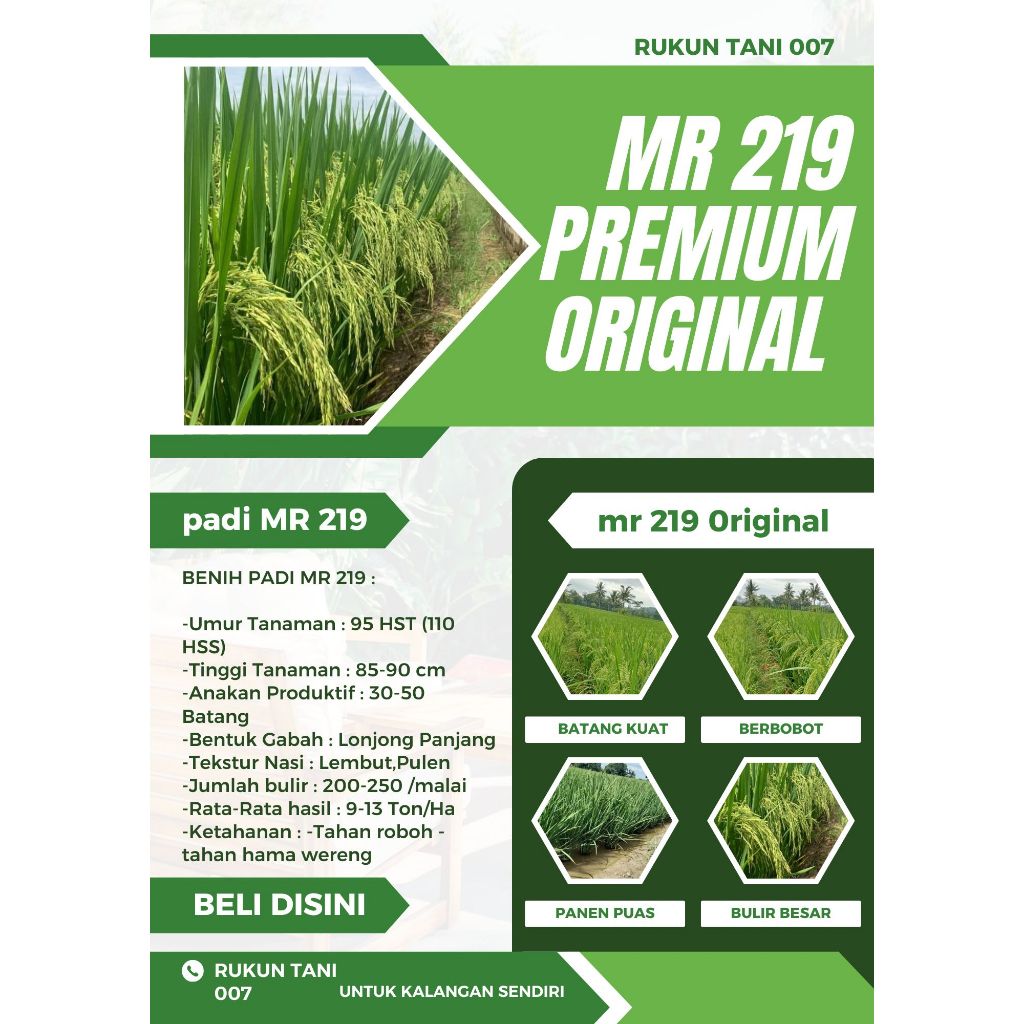 Jual Benih Padi MR 219 0riginal Kemasan 5 KG | Shopee Indonesia