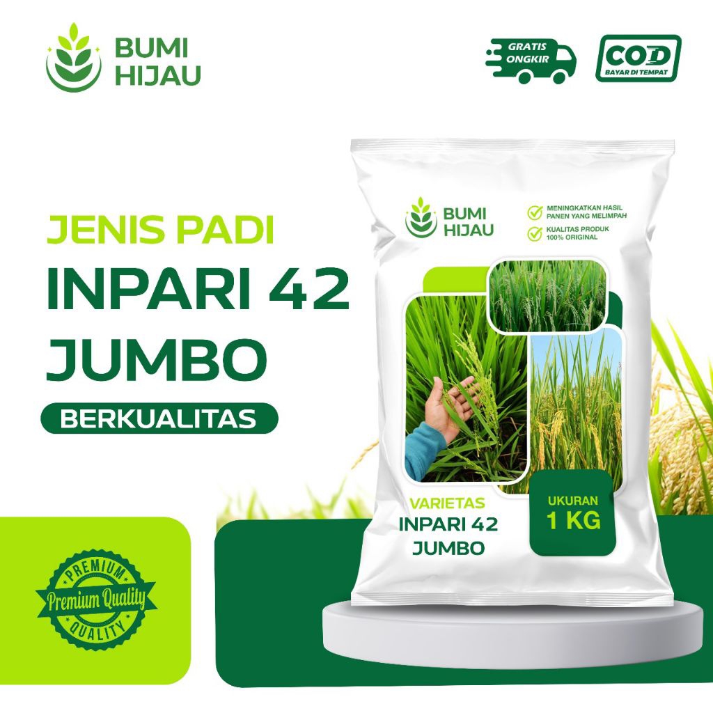 Jual BIBIT PADI BENIH PADI INPARI 42 JUMBO KEMASAN 1KG KUALITAS SUPER ...